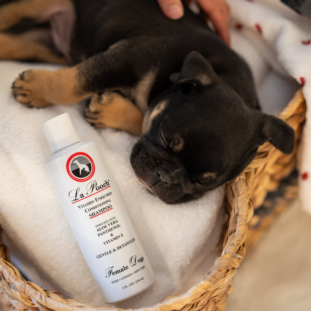 Moisturizing Dog Shampoo - Les Poochs Vitamin Shampoo
