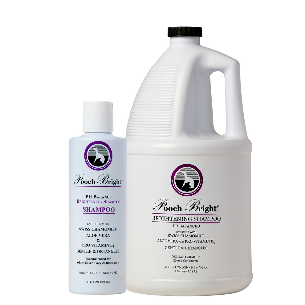 Whitening Shampoo for Dogs - Les Poochs Brightening Shampoo